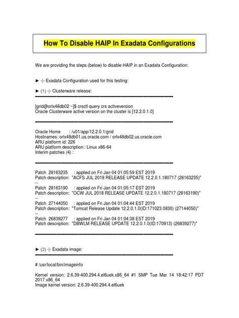 How To Disable Haip In Exadata Example Pdf Online And Offline Oracle Corporation