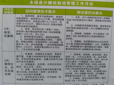 砂糖桔當前管理技術要點 每日頭條