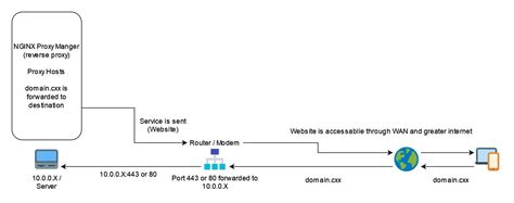 Docker Networks And Nginx Proxy Manager