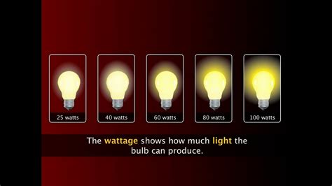 Bulb Definition For Class 6 At Carrie Hernandez Blog