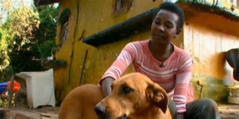 რეალური ისტორია მოხალისე ძაღლზე ბრაზილიის ღარიბი უბნიდან