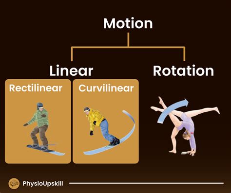 Episode2 Kinetics Vs Kinematics 2 คำที่คล้ายกัน มันต่างกันยังไง Physioupskill