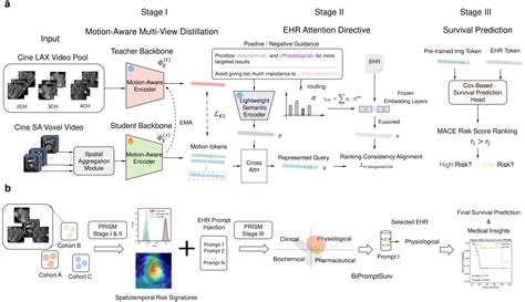 Github Hoyant Suprism This Repository Contains The Code For Prism