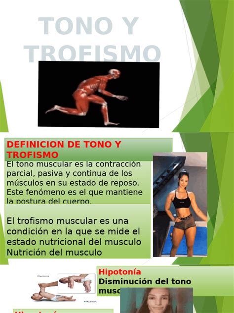 Tono Y Trofismo Muscular Definidos Pdf