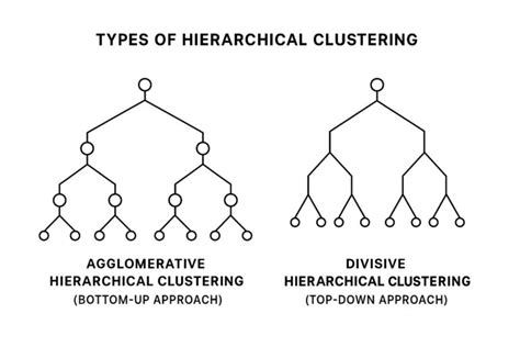 Hierarchical Clustering In Machine Learning 2 Types Examples And
