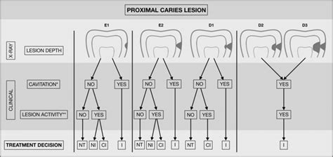 Treatment Decision For Proximal Caries Lesions Based On Radiographic Download Scientific