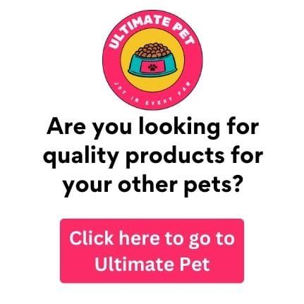 How To Sex Chickens A Comprehensive Guide To Sexing Chicks