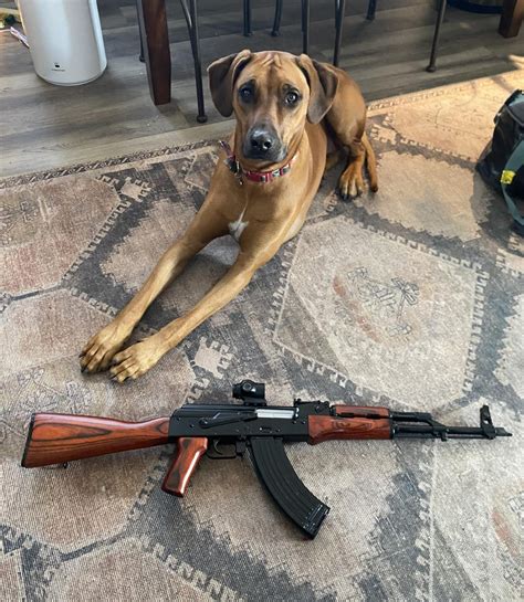 I Guess To Be Clone Correct Itd Be A Fal Rak47