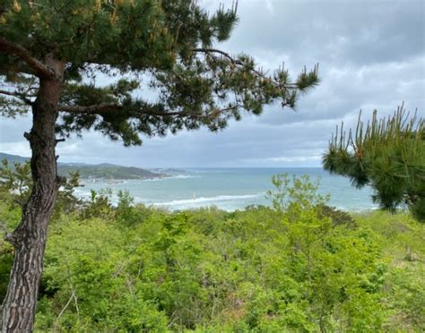 골프존카운티 감포cc 오늘은 이곳입니다 네이버 블로그