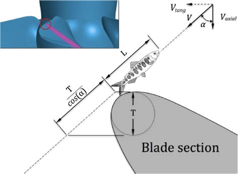 Color Online Schematic Of Fish Passage Conditions A Fish Passing