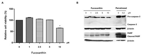 Marine Drugs Special Issue Fucoxanthin And Astaxanthin—production Biofunction And Application