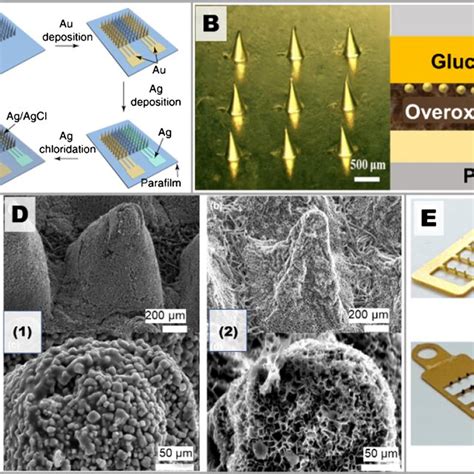 Microneedle Based Electrochemical Sensors For Minimally Invasive
