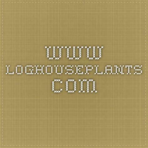 Catnip Vs Deet Natural Mosquito Repellent