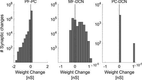 Evolution Of Individual Synaptic Weights Along Trials Histogram Of Download Scientific Diagram