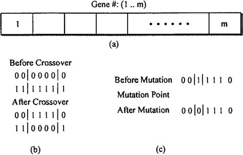 Genetic Algorithm Features A Chromosome Ie Sequence Of Genes Download High Quality