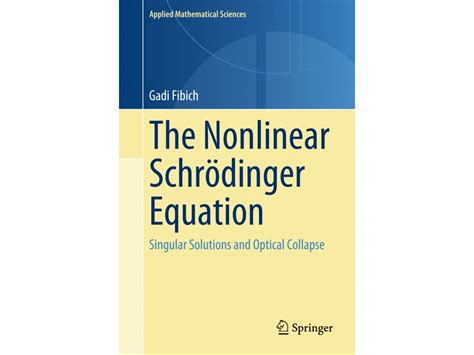 Nonlinear Schrodinger Equation Singular Solutions And Optical Collapse Bookpath
