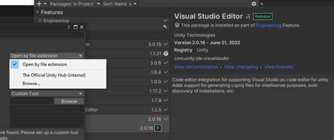 Visual Editor Not Showing Up R Unity3d