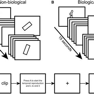 Temporal Reproduction Task This Task Was Used In Experiments II And Download Scientific