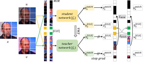 self supervised graph transformer for deepfake detection paper and