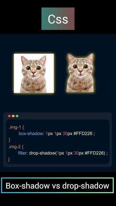 Css Box Shadow Vs Drop Shadow Css Box Shadow Vs Drop Shadow Easily