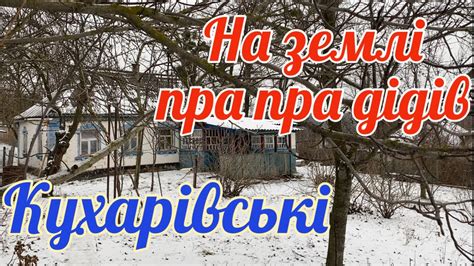 Розповідь про родину готуємо в печі голубці та пиріг душевна вечеря з дідом старі фотографії