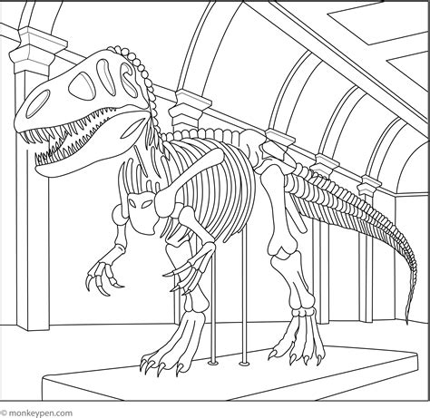 Skeleton Coloring