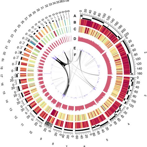 Distribution Of Genomic Features Concentric Circle Diagram Presents