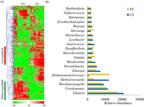 Figure 1 From Metagenomic Analysis Of Microbial Community Structure And Function In A Improved