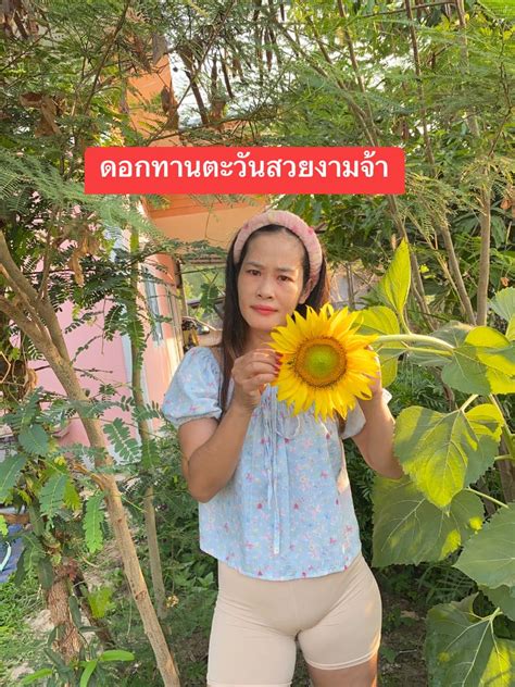 สาว ดอกทานตะวันสีเหลืองสวยงามมากจ้ะ โบนัสประสิทธิภาพ Aiเปิดค่าการมองเห็น Facebook