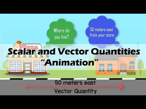 SCALAR VECTOR Physics Animation YouTube Physics Ap Physics Gcse Physics