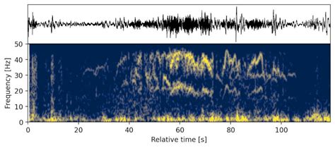 Detecting African Elephants With Raspberry Shake Seismographs