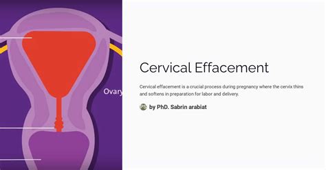 Cervical Effacement