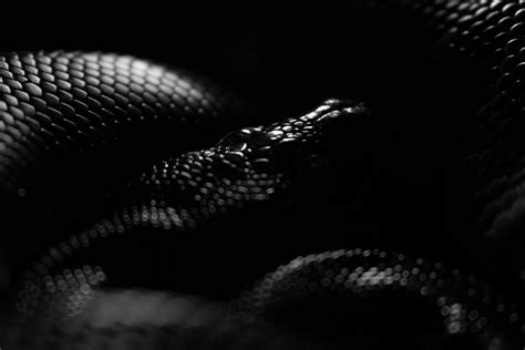 Numpy Shape And Axis