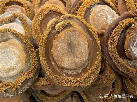 不好的鲍鱼原来有这些特征以后记住一定要买带这种特征的好鲍鱼 知乎