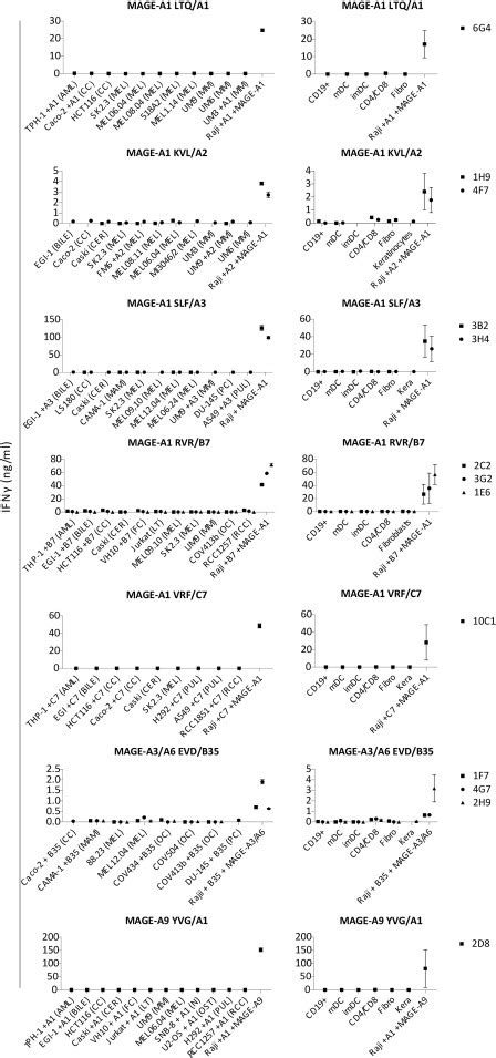 A Library Of Cancer Testis Specific T Cell Receptors For T Cell Receptor Gene Therapy Molecular