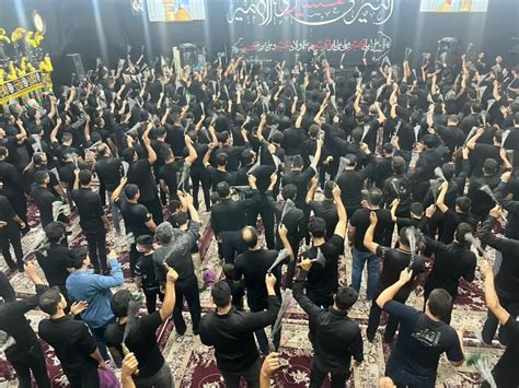 انتقاد سید محسن بنی فاطمه از تبرّج برخی بانوان در عزاداری سیدالشهدا