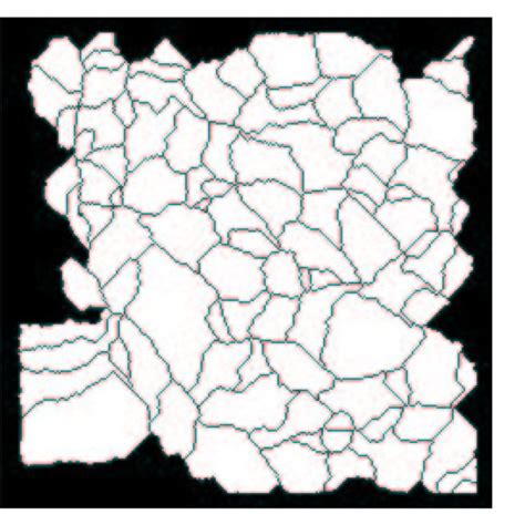 Watershed Algorithm Yields An Initial Segmentation Of The Example Download Scientific Diagram