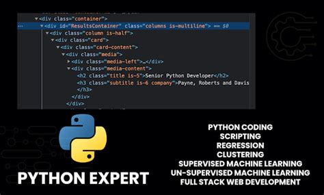 Do Python Coding Scripting Machine Learning And Full Stack Web