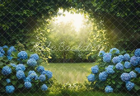 Kate Garden Arch Blue Hydrangeas Backdrop For Photography