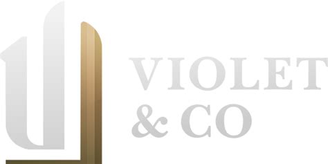 Violet And Co Empowering Financial Success For Your Business