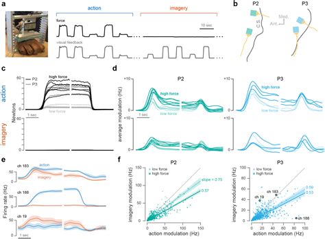 Motor Cortex Retains And Reorients Neural Dynamics During Motor Imagery Pmc