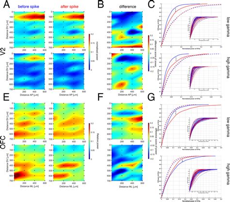 Plots Of Spike Triggered Averages Sta Of The Local Field Potentials Download Scientific