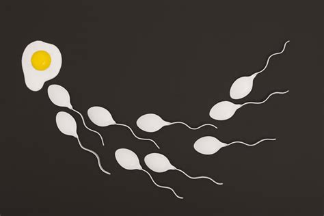 Are You Trying To Conceive Tips To Help You Get Pregnant Dunia Magazine