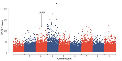 跟着nature genetics学画图：r语言ggplot2画曼哈顿图展示xp clr score wx6221d9080e88d的技术博客