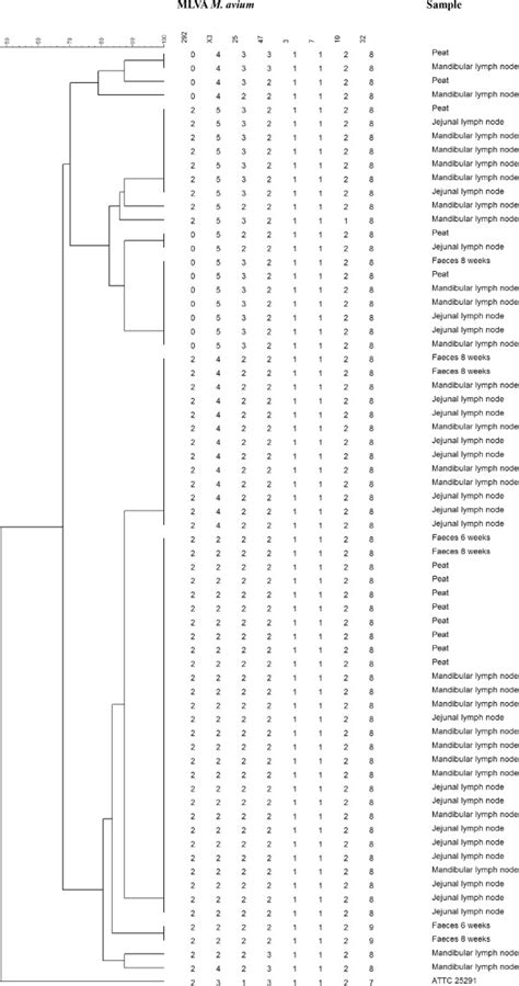 Dendrogram An Unrooted Tree Showing Genetic Relationship Between Download Scientific Diagram