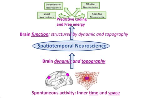 Spatiotemporal Neuroscience From Brain Dynamic And Topography To