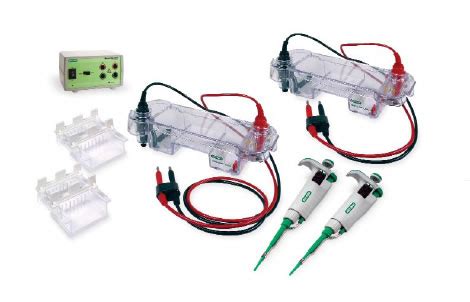 DNA Electrophoresis Classroom Lab Set Life Science Education Bio Rad