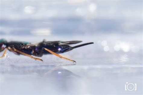 Dandroids Aperture Science On Tumblr