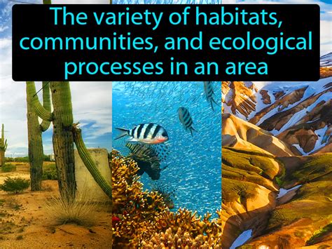 Ecosystem Diversity Definition And Image Easy To Understand