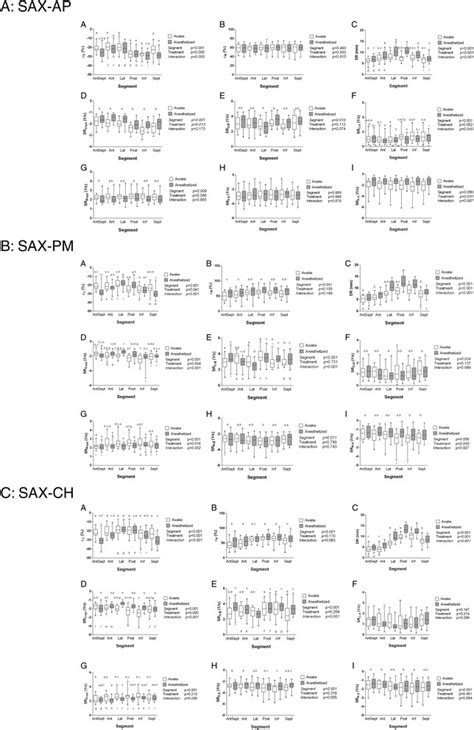 A C Segmental 2dst Analyses Of Left Ventricular Short Axis Recordings